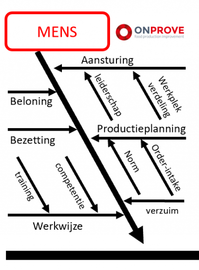 Visgraat Analyse (RCA) - Onprove